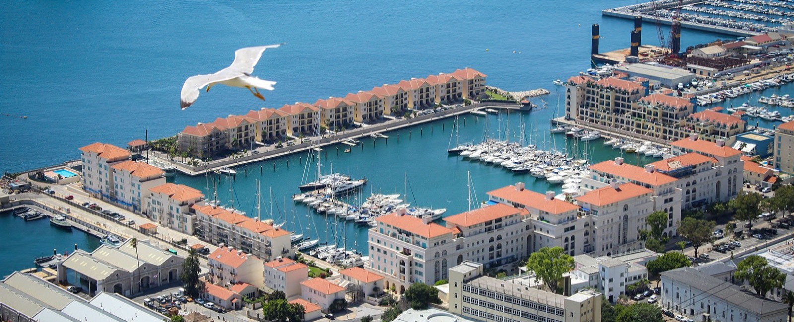 Fishing in Gibraltar | Welcome to Gibraltar